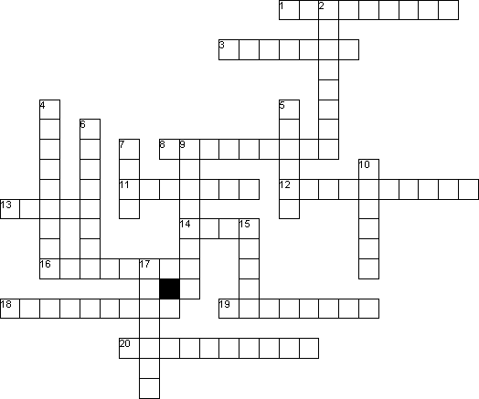 Rainforest Crossword Puzzle - Look Under Rocks